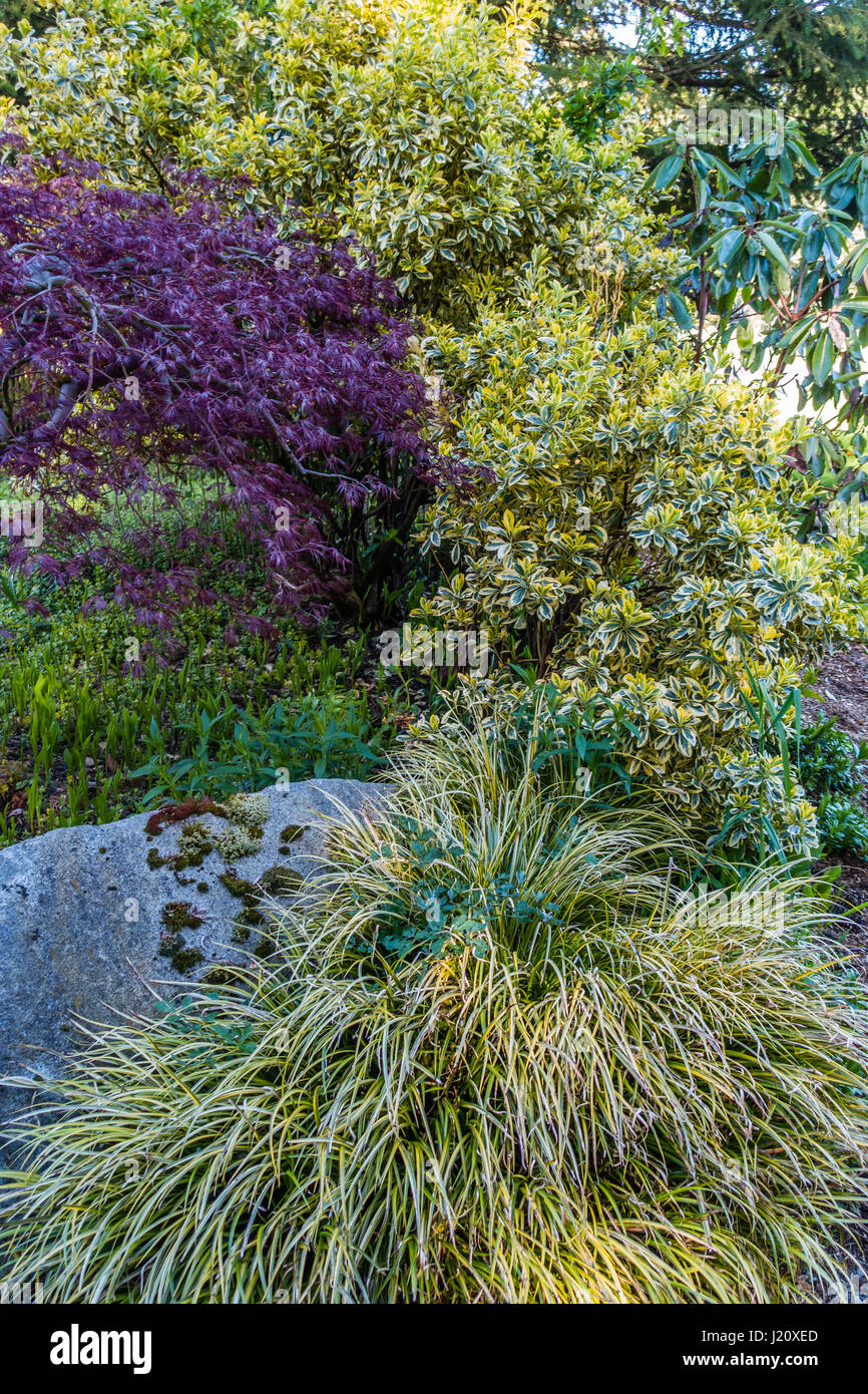 A variety of shrubs make and interesting background Stock Photo - Alamy