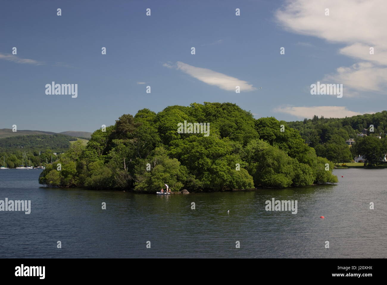Ramp Holme Lake Windermere Lake District Cumbria England Stock Photo ...