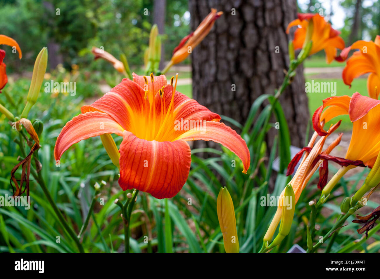 Yellow orbit hi-res stock photography and images - Alamy