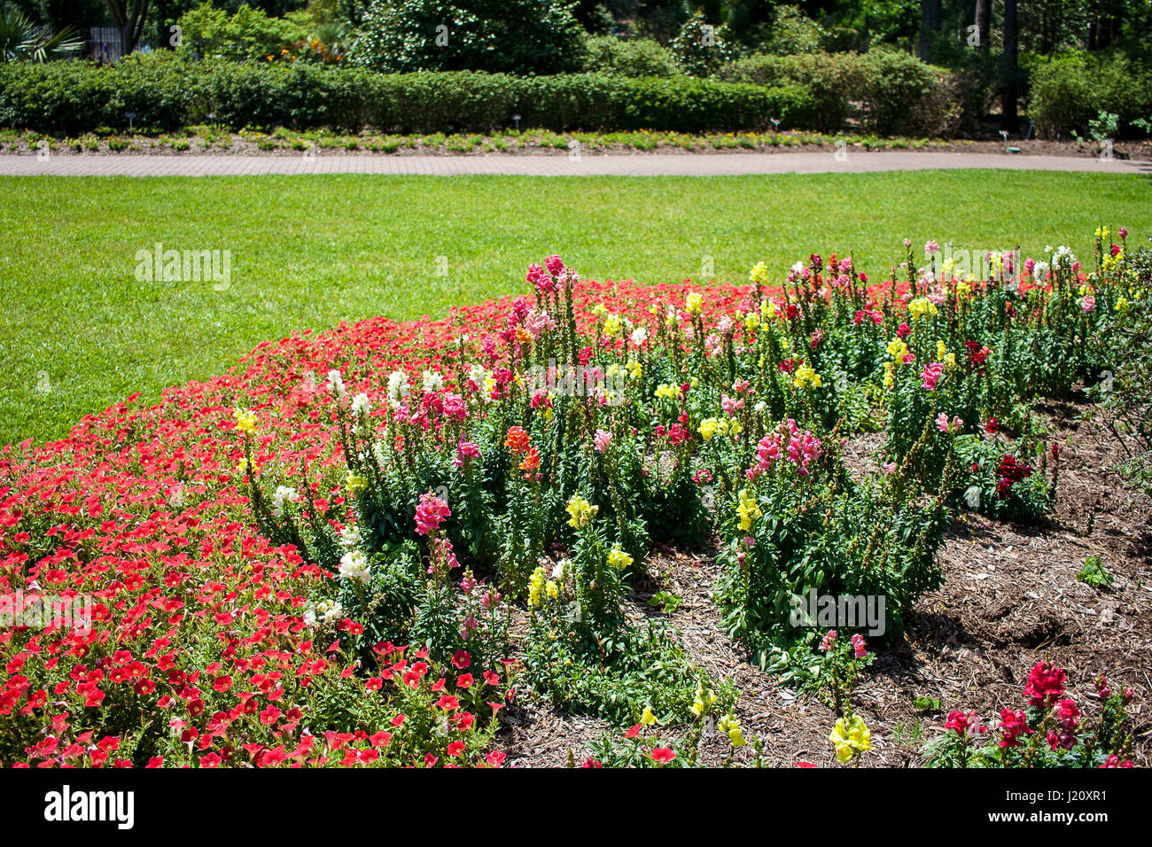 Colorful flowers in a botanical garden Stock Photo - Alamy