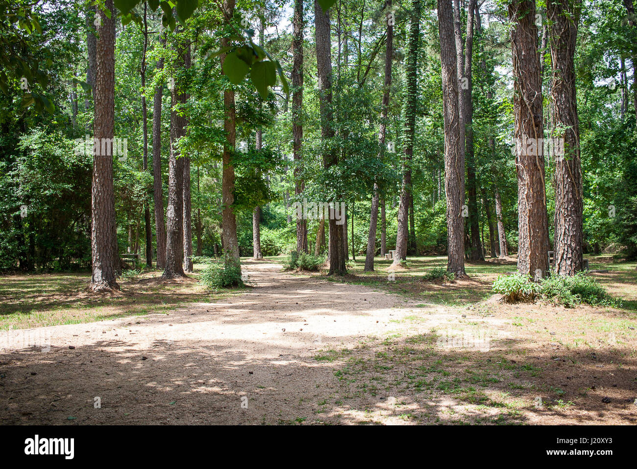 Hiking trail in a park Stock Photo - Alamy