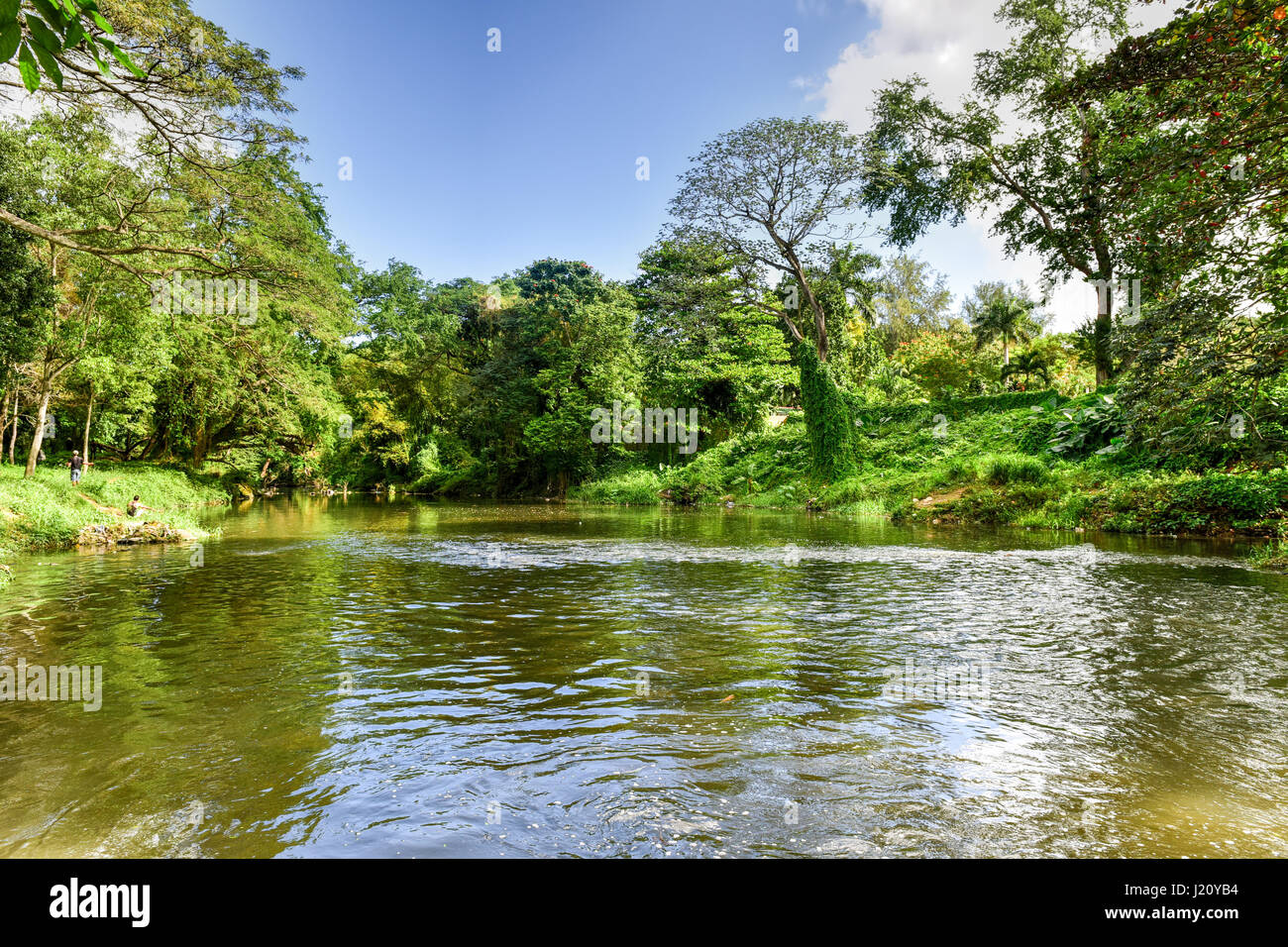 Almendares Park in the Great Metropolitan Park (Gran Parque ...