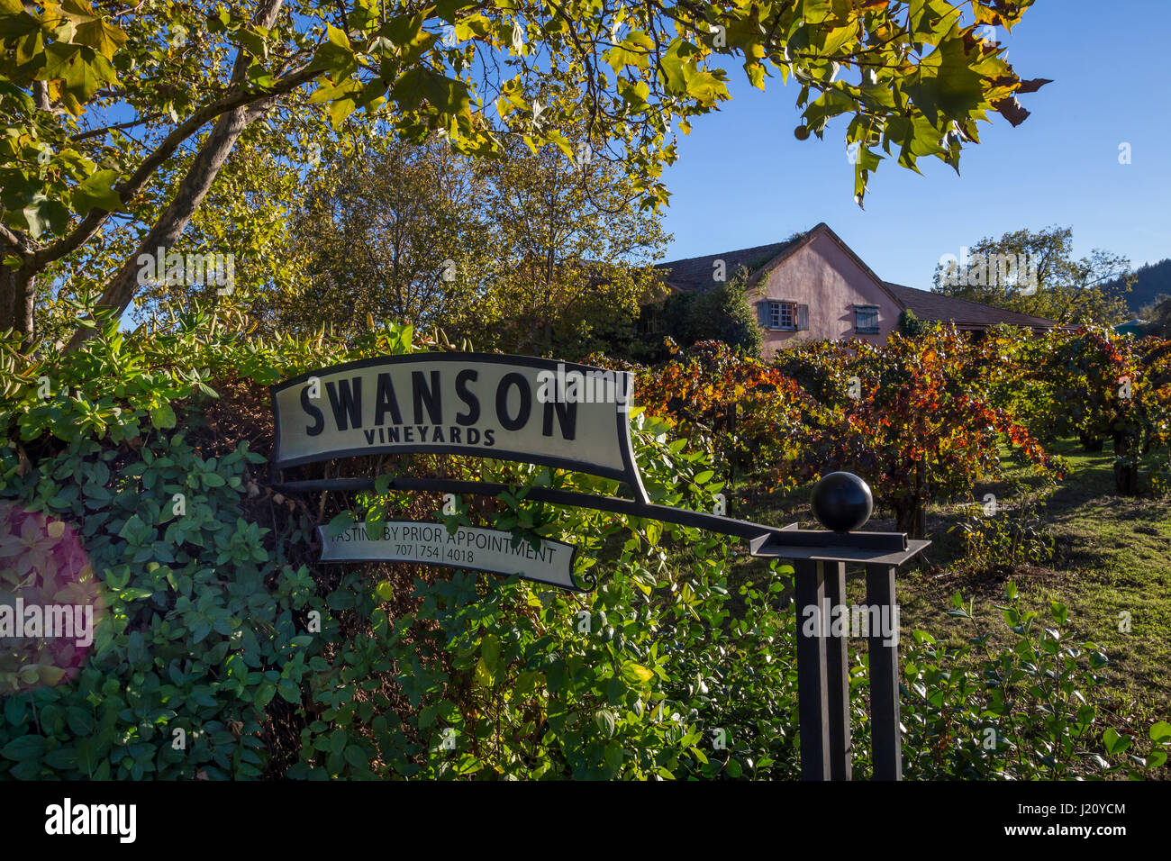 Swanson vineyards napa hi-res stock photography and images - Alamy