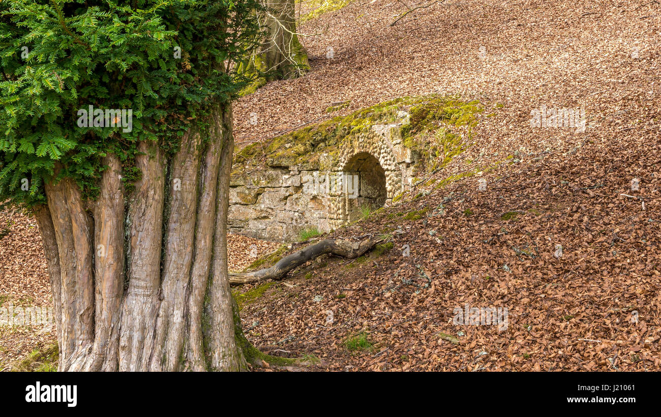 Entrance to underground Hurley Cove stone grotto folly, with yew tree ...