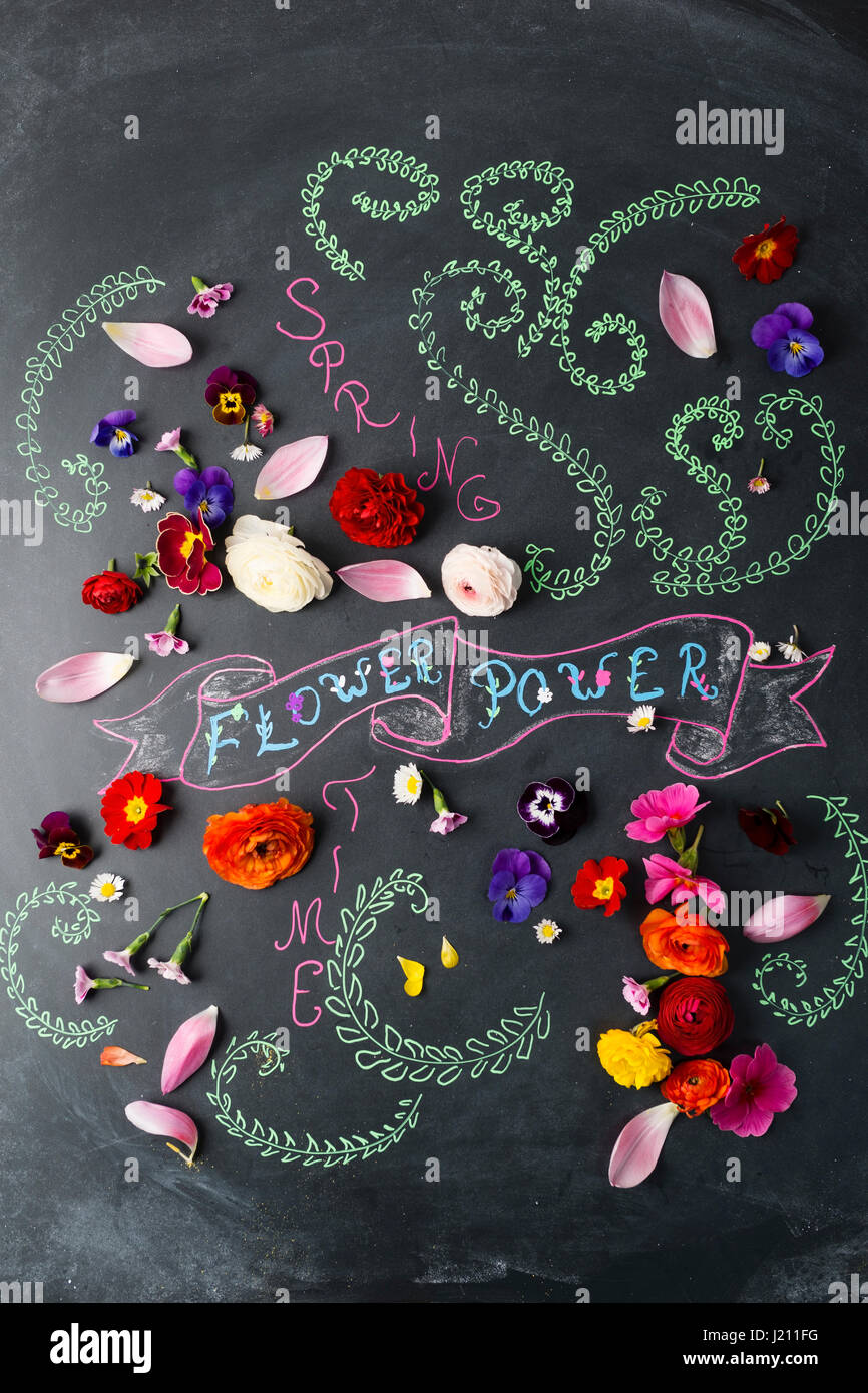 Word Flower Power and blossoms on blackboard Stock Photo - Alamy