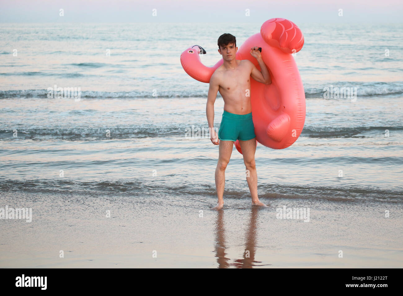 Young Flamingo Stock Photos & Young Flamingo Stock Images - Alamy