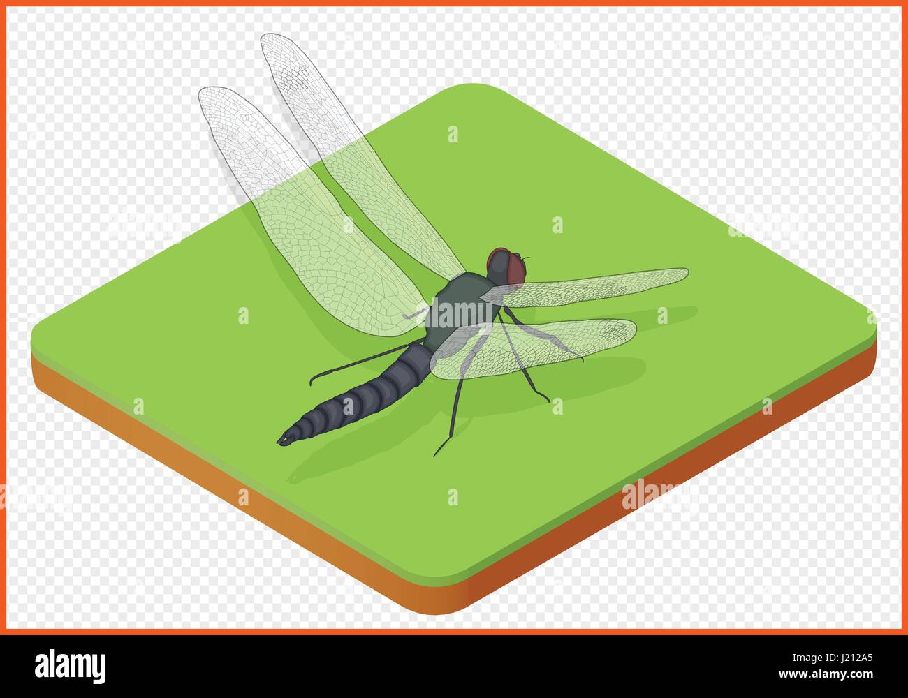 Wildlife and perspective Stock Vector Images - Alamy