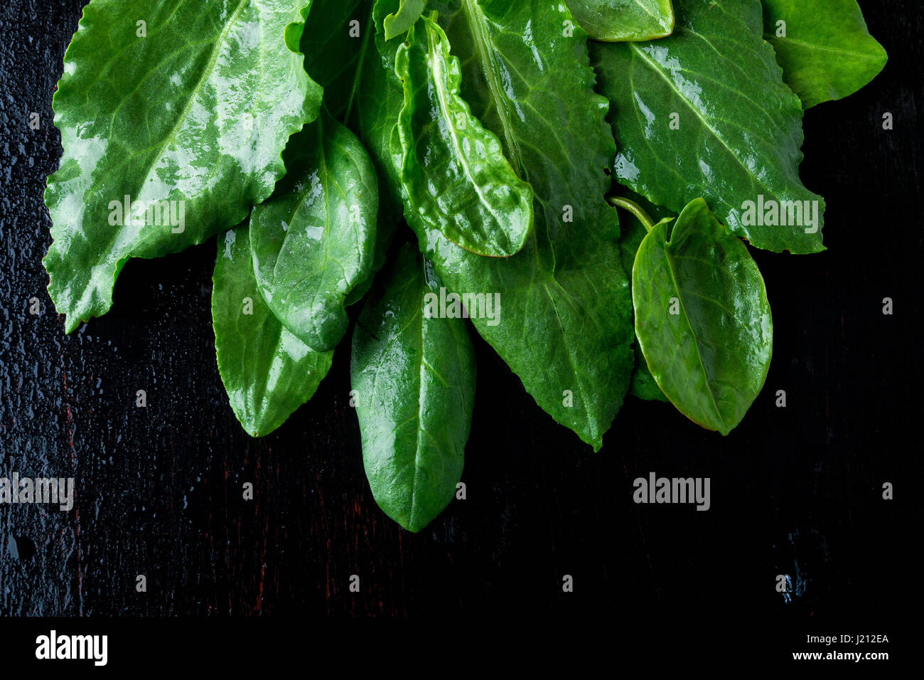 Wet spinach on black background. Green fruit. Detox. Fresh Stock Photo ...