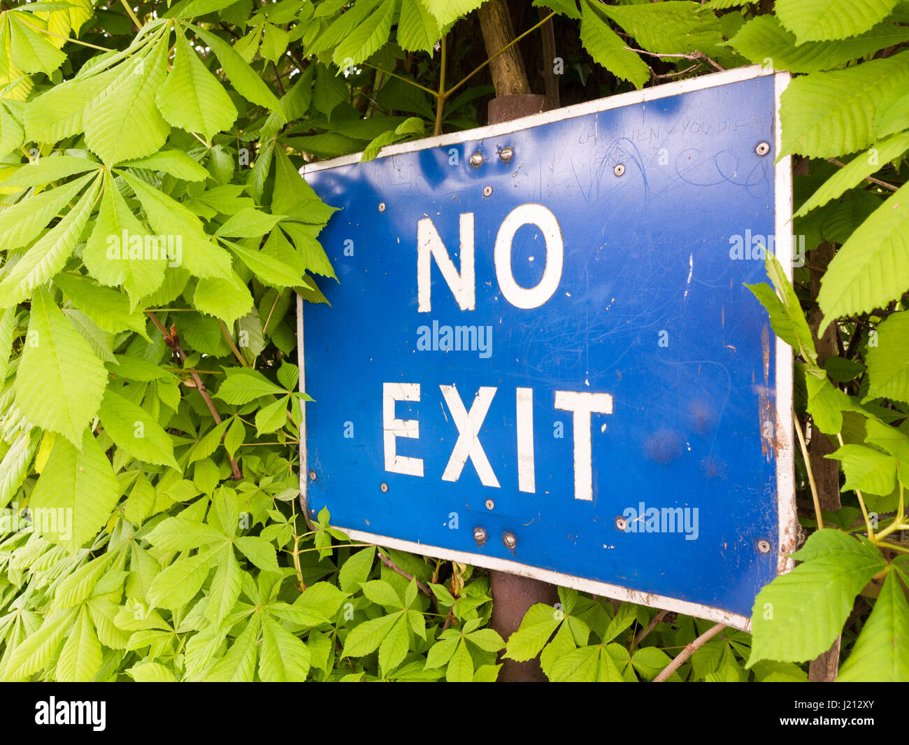 a blue and white sign saying no exit outside near a car park ...