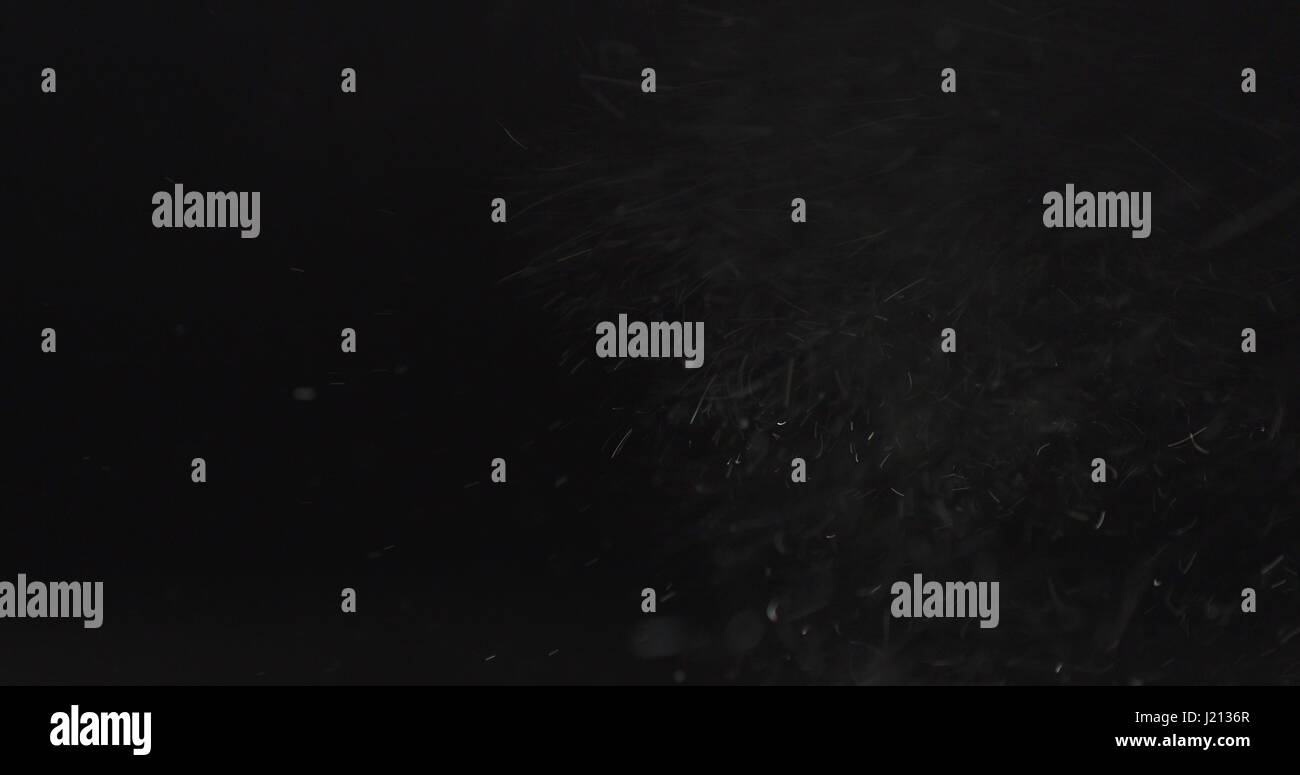 dust particles fast moving over black background from right, 4k photo ...