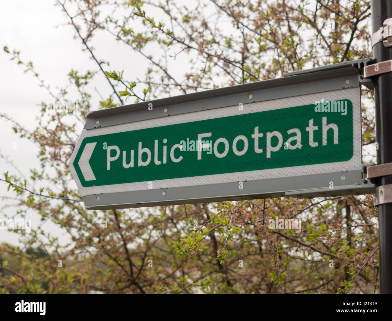 a green and white metal sign post with arrowhead pointing leading ...