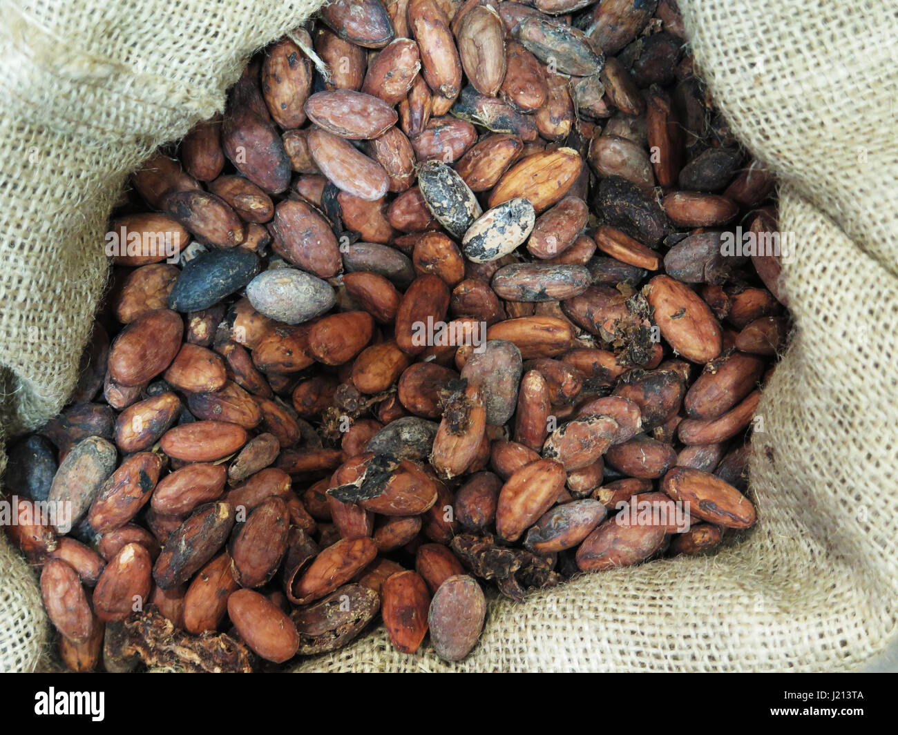 Raw roasted cocoa beans background Stock Photo - Alamy