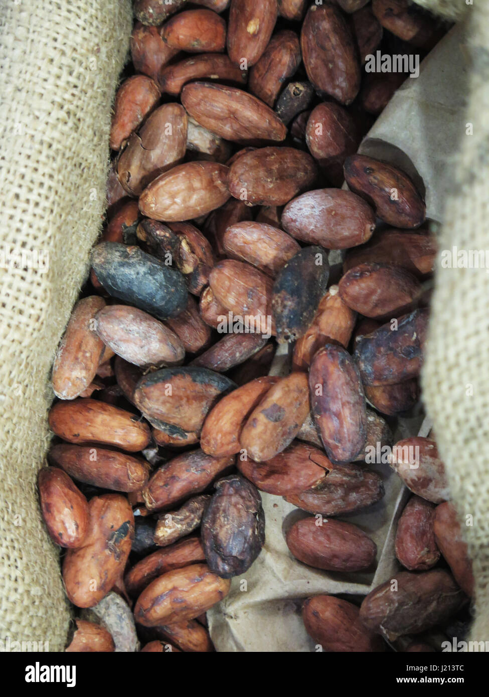 Raw roasted cocoa beans background Stock Photo - Alamy