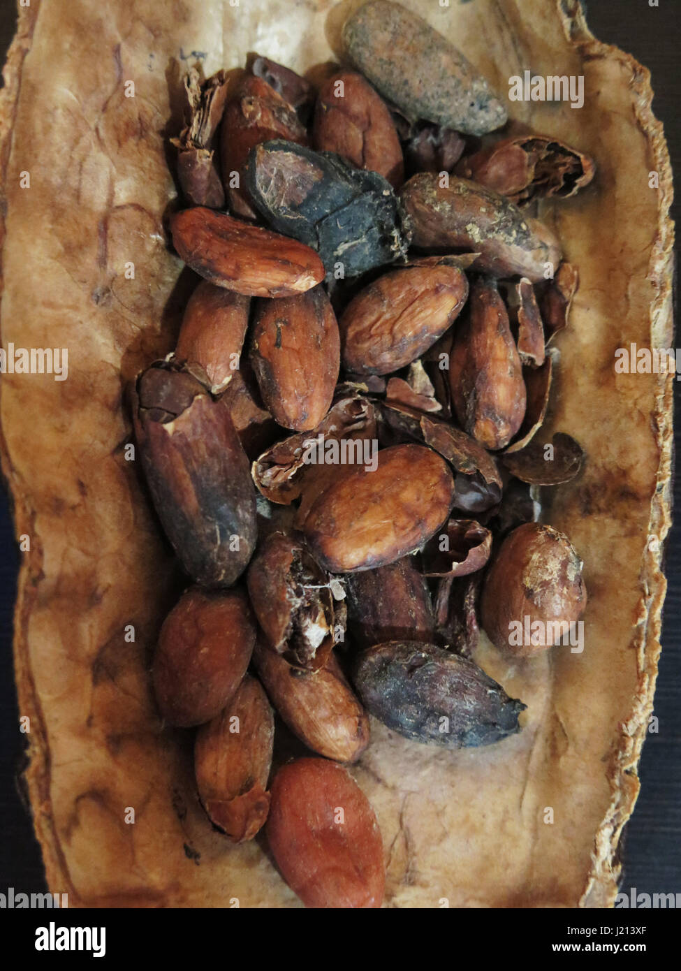 Raw roasted cocoa beans background Stock Photo - Alamy