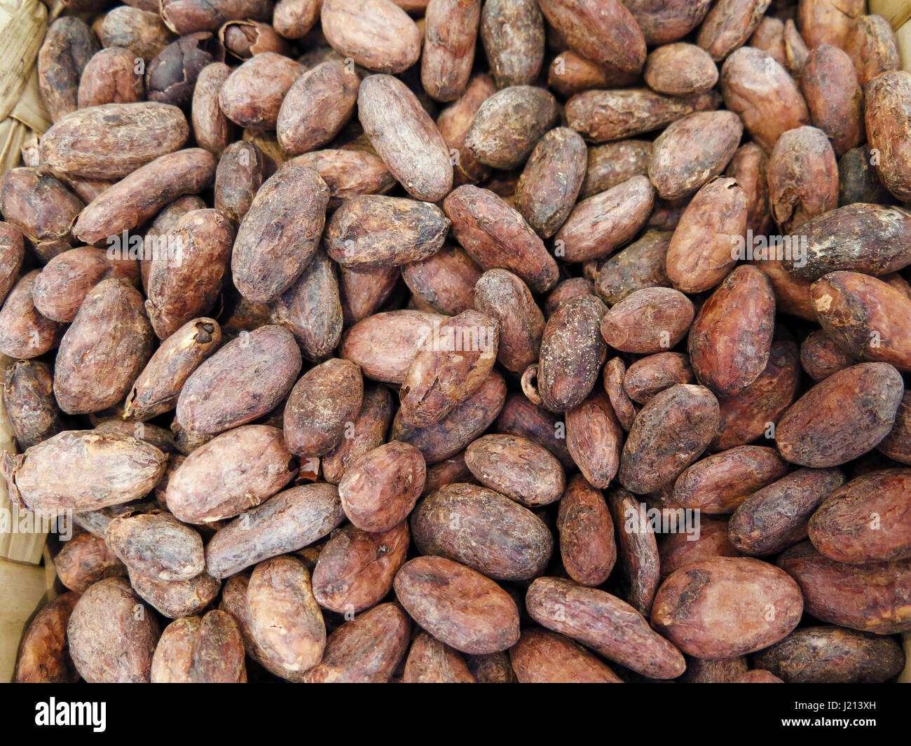 Raw roasted cocoa beans background Stock Photo - Alamy