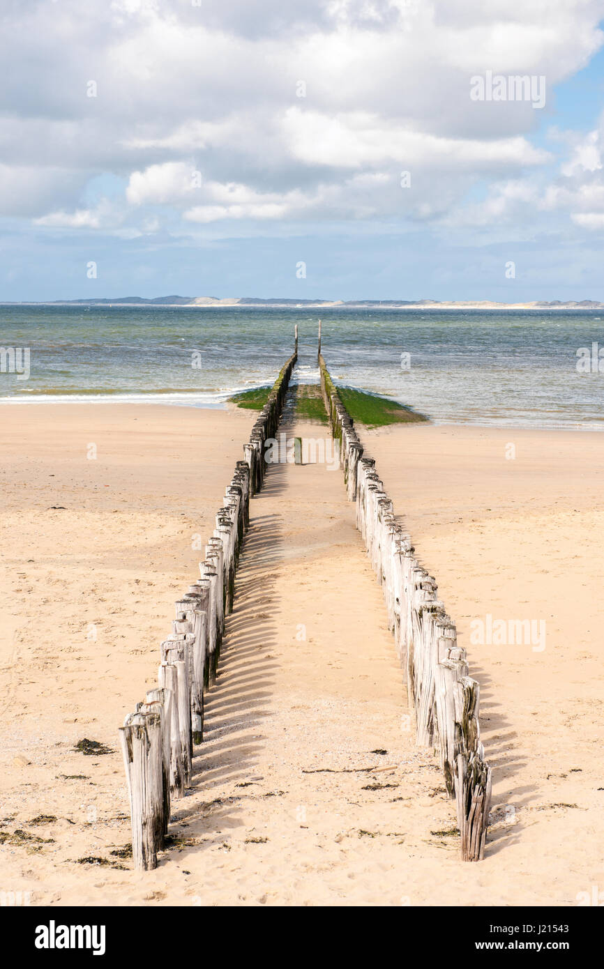 Breakwater made of wooden poles at the entrance of the Westerschelde ...