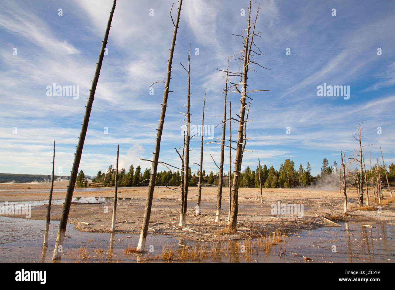 Lower geyser basin in the Yellowstone National park, USA Stock Photo ...