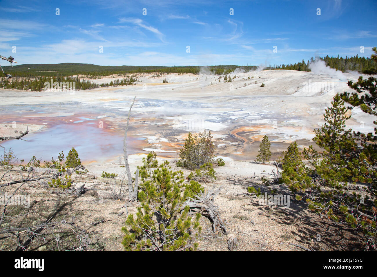 Norris geyser basin in the Yellowstone National park, USA Stock Photo ...