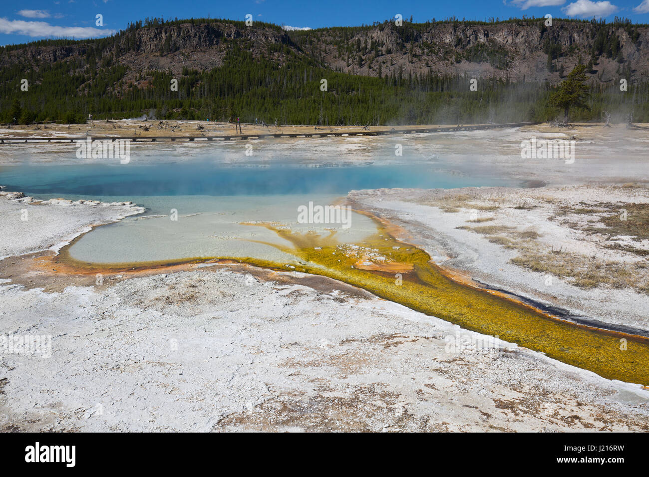 Colorful hot water pool in the Yellowstone National park, USA Stock ...