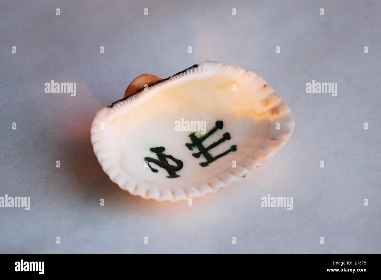 Amun Bastet, Sigil, painted on the sea shell in the ancient Egyptian ...