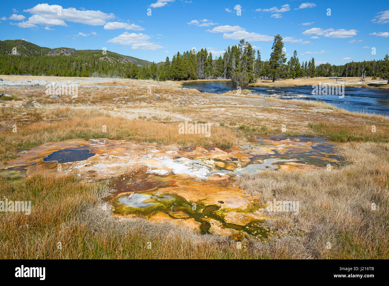 Colorful hot water pool in the Yellowstone National park, USA Stock ...