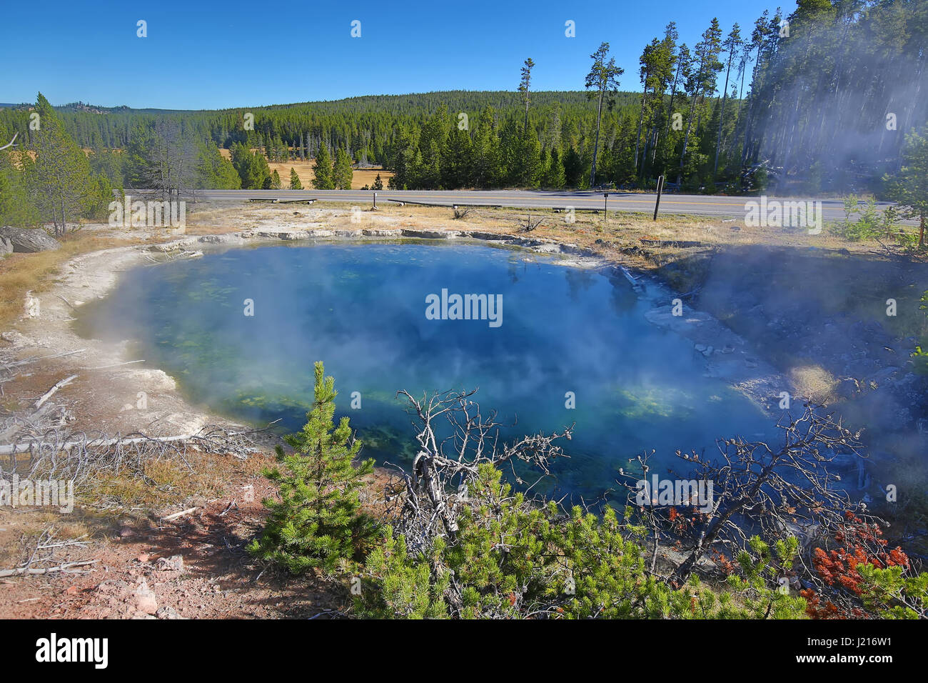 Colorful hot water pool in the Yellowstone National park, USA Stock ...