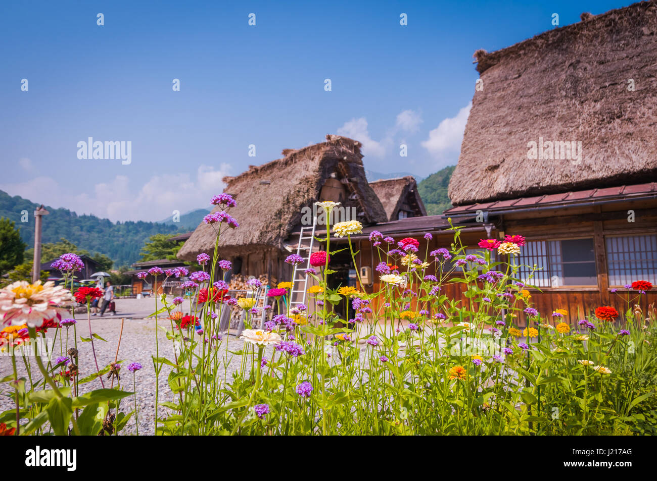 Historical Japanese village Shirakawago in spring season Stock Photo ...