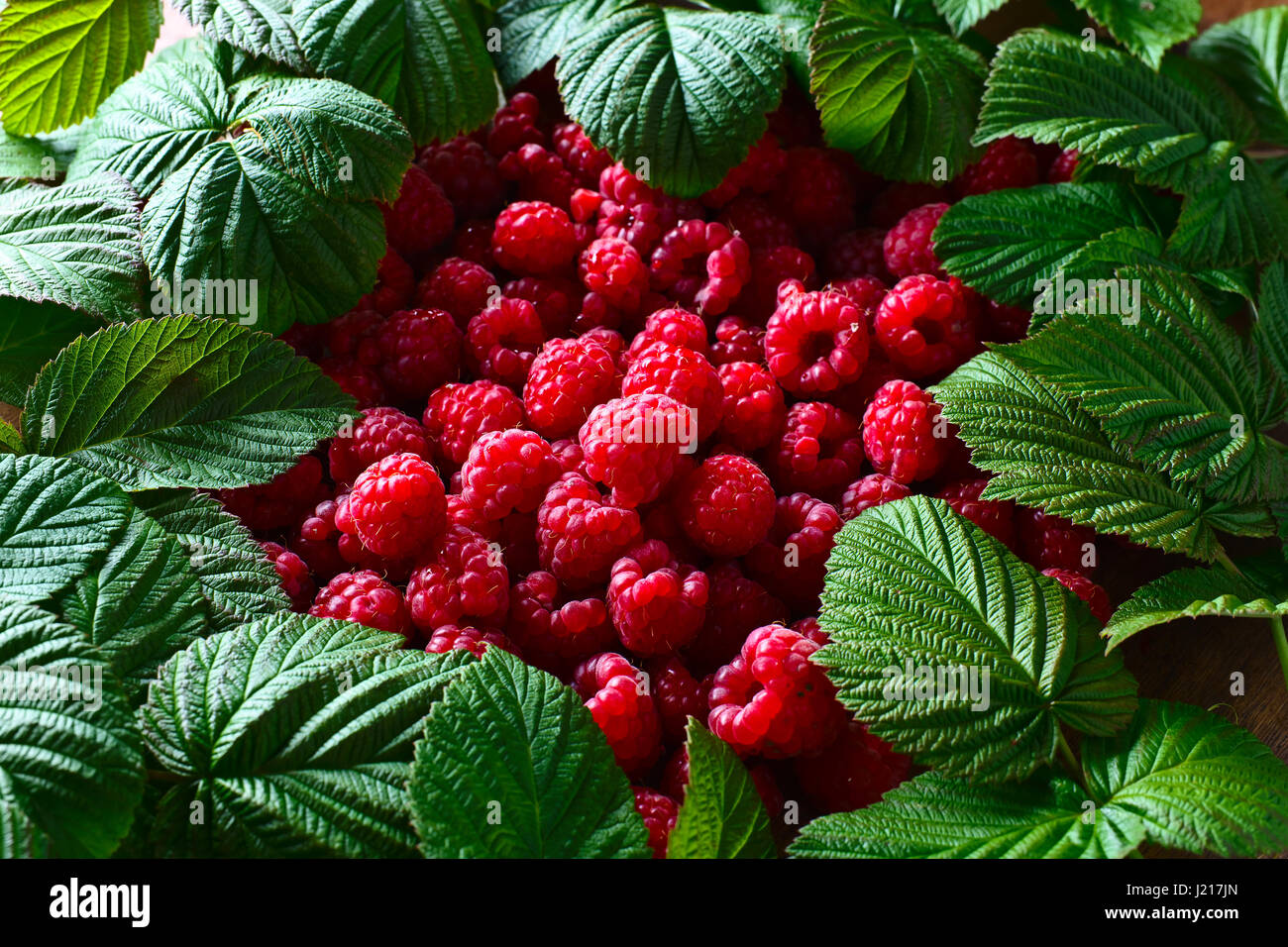 ripe red raspberries and green leaves Stock Photo - Alamy