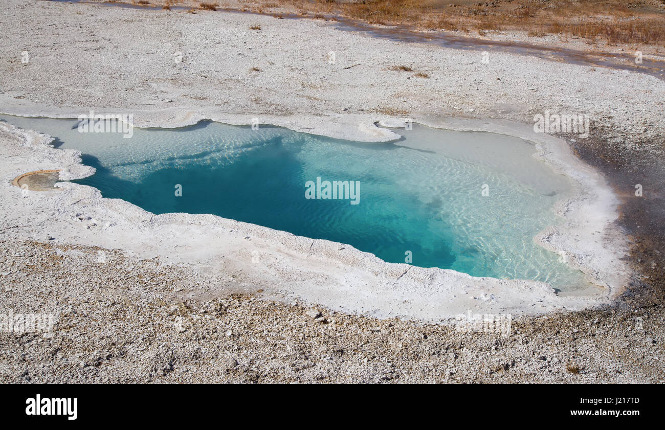 Colorful hot water pool in the Yellowstone National park, USA Stock ...