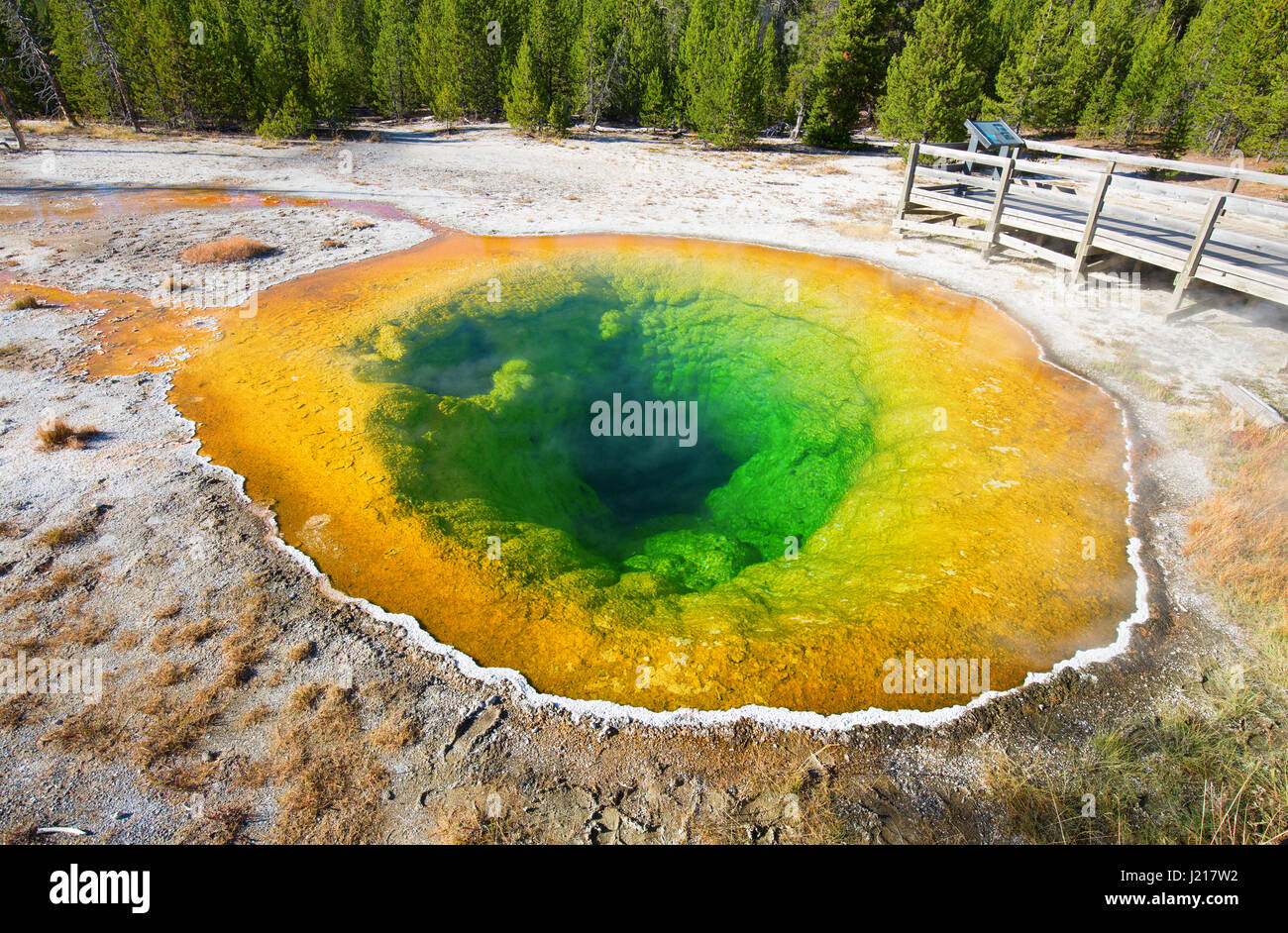 Colorful hot water pool in the Yellowstone National park, USA Stock ...