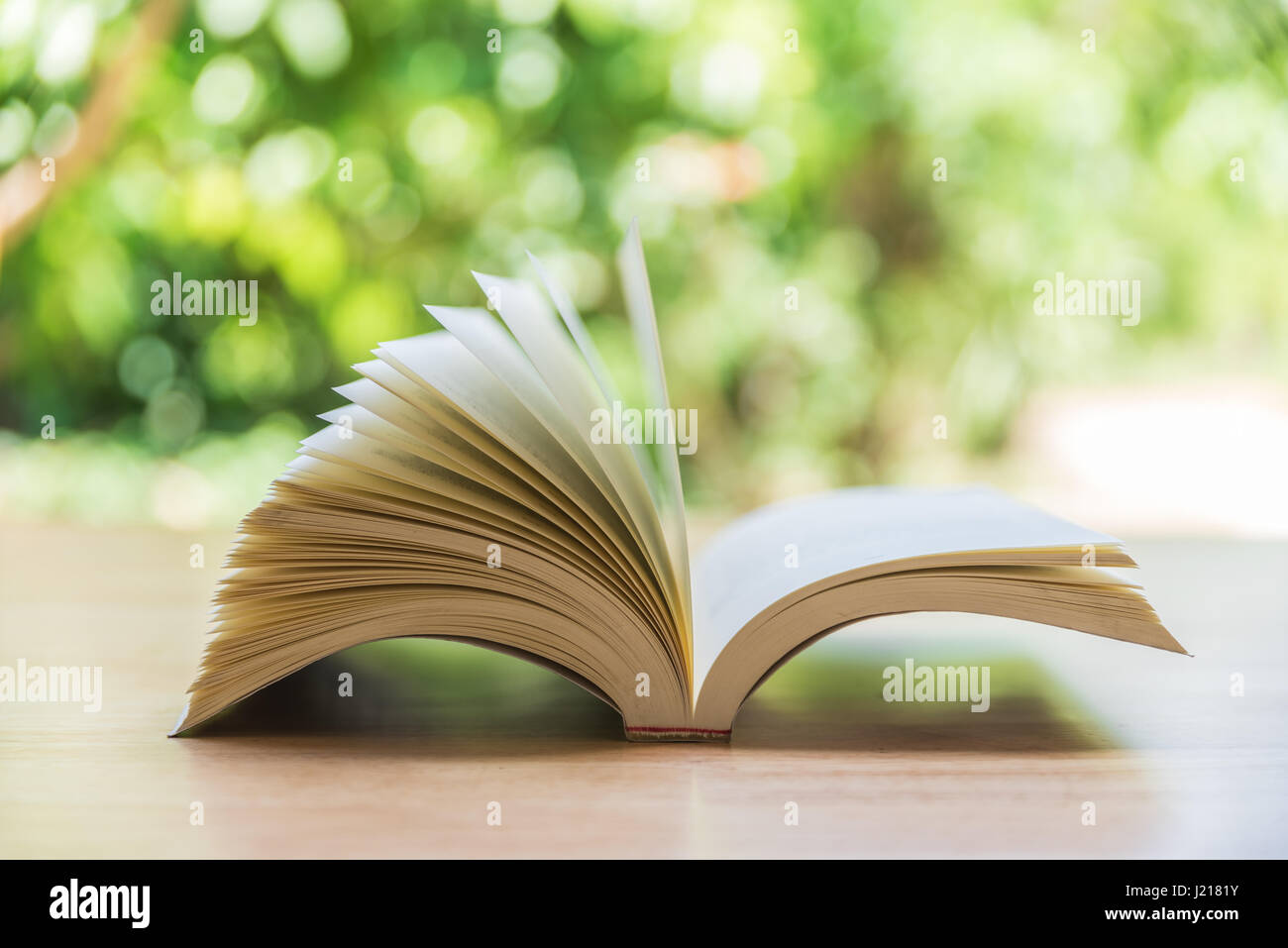 Open book on wood planks Stock Photo - Alamy