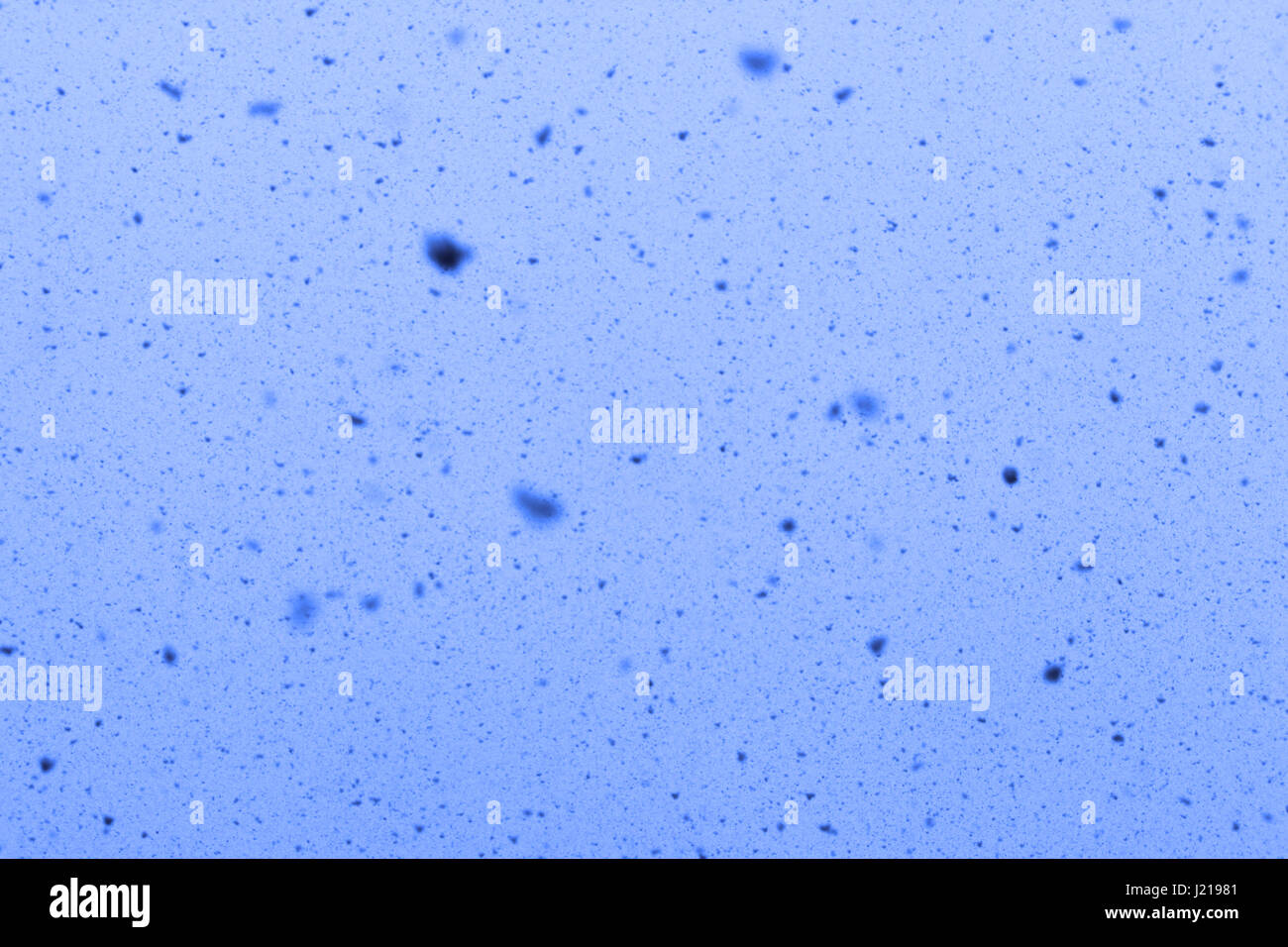 Falling snow flakes during the snowfall from the sky Stock Photo - Alamy