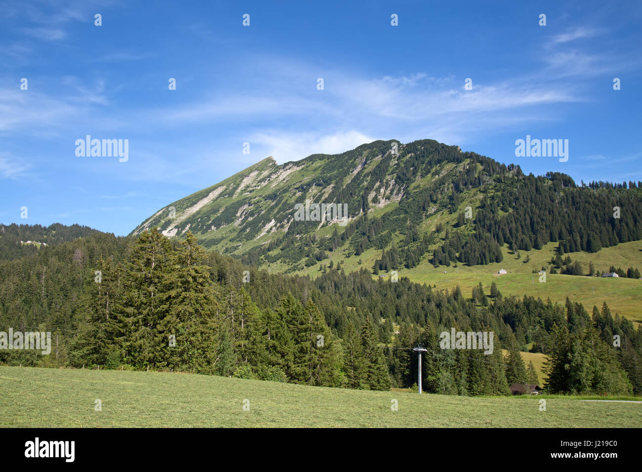 Summer landscape in the Walensee region (Churfirsten mountain range in ...