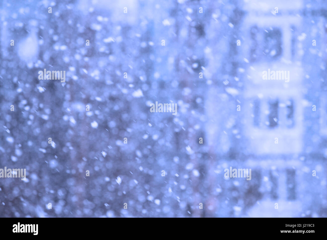 Falling snow flakes during a snowfall in the background of the house ...