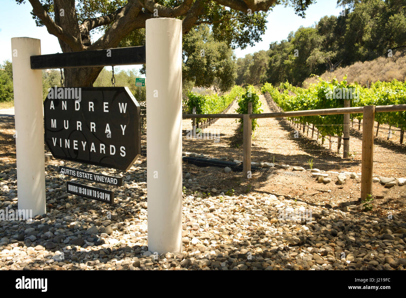 Rustic yet stylish sign and entrance to the Andrew Murray vineyards in ...