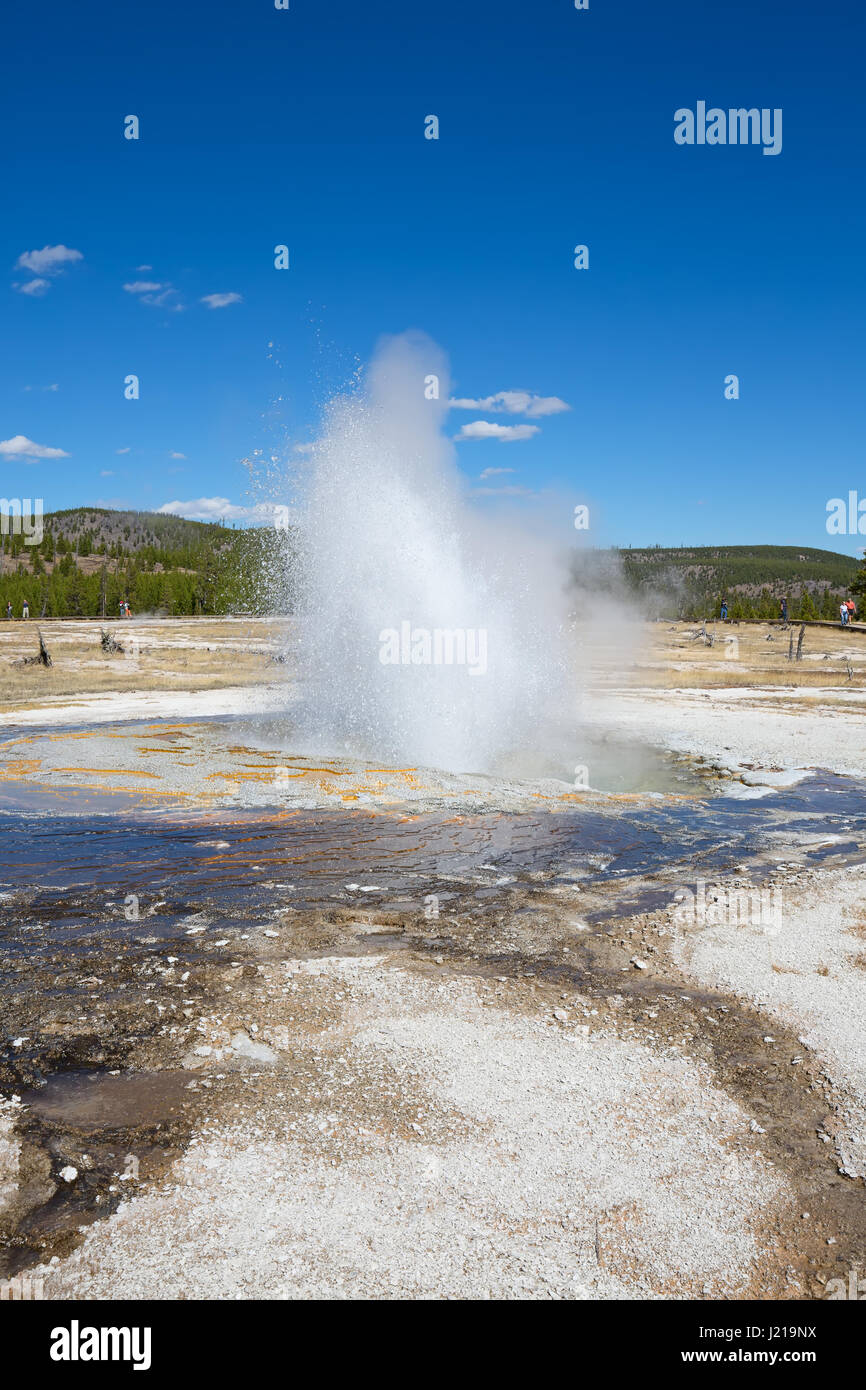 Jewel geyser eruption in the Yellowstone national park, USA Stock Photo ...
