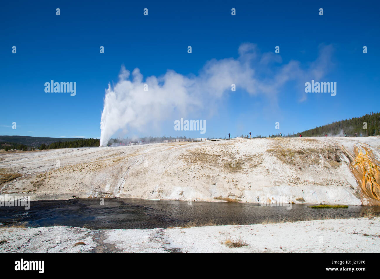 Cone geyser eruption in the Yellowstone national park, USA Stock Photo ...