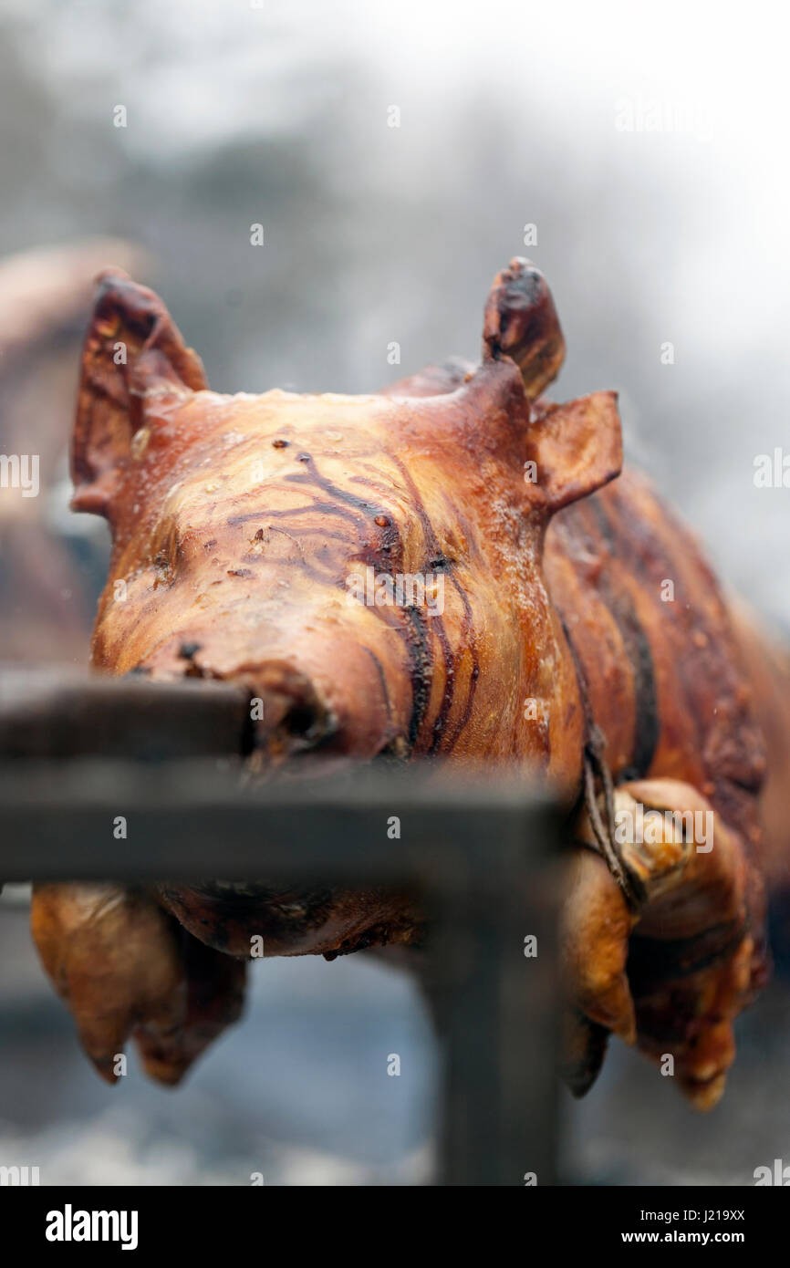 Whole pig piglet suckling fire roast grill barbecue bbq cook pork meat ...