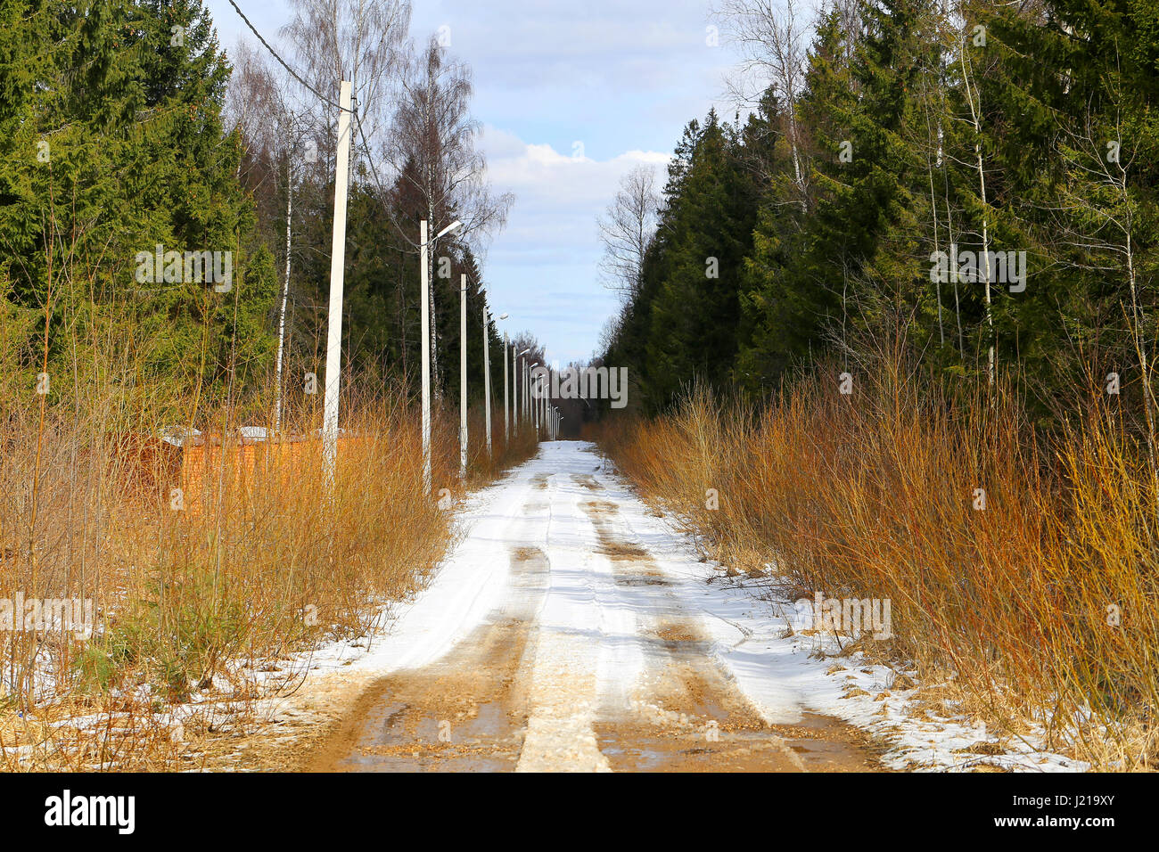 Beautiful photos of spring road in the forest lit by the sun Stock ...