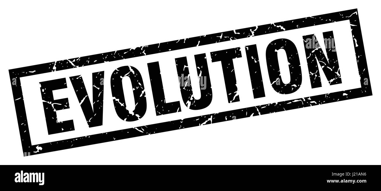 square grunge black evolution stamp Stock Vector Image & Art - Alamy