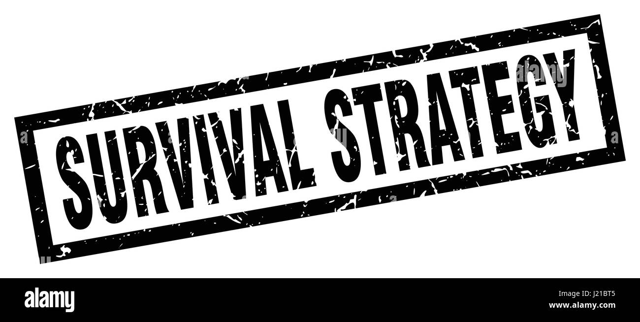 square grunge black survival strategy stamp Stock Vector Image & Art ...