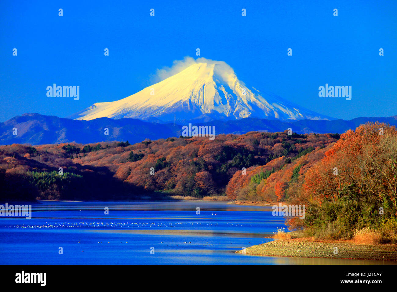 Sayama ko hi-res stock photography and images - Alamy
