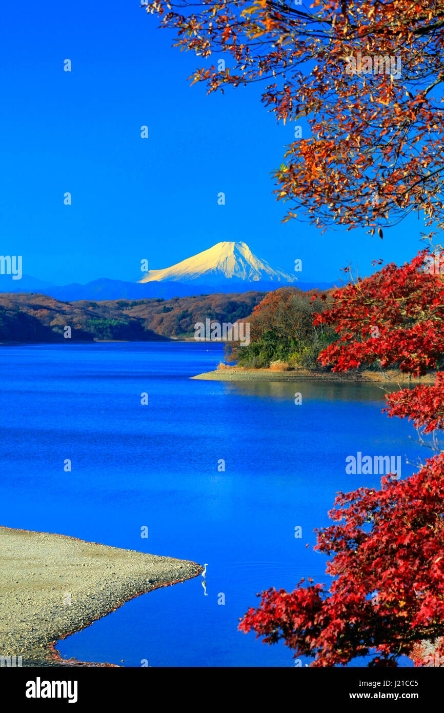 Sayamako hi-res stock photography and images - Alamy