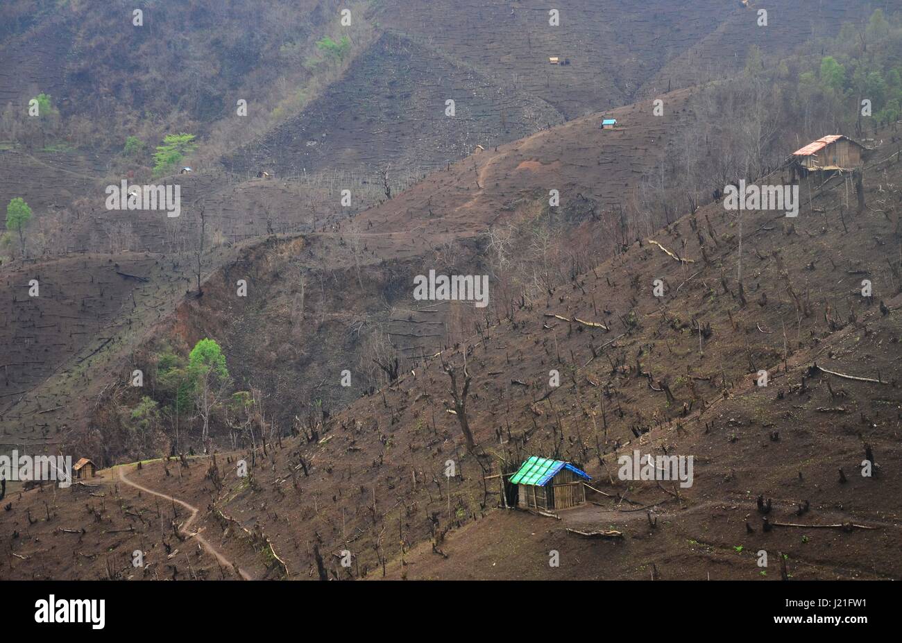 Jhum cultivation hi-res stock photography and images - Alamy
