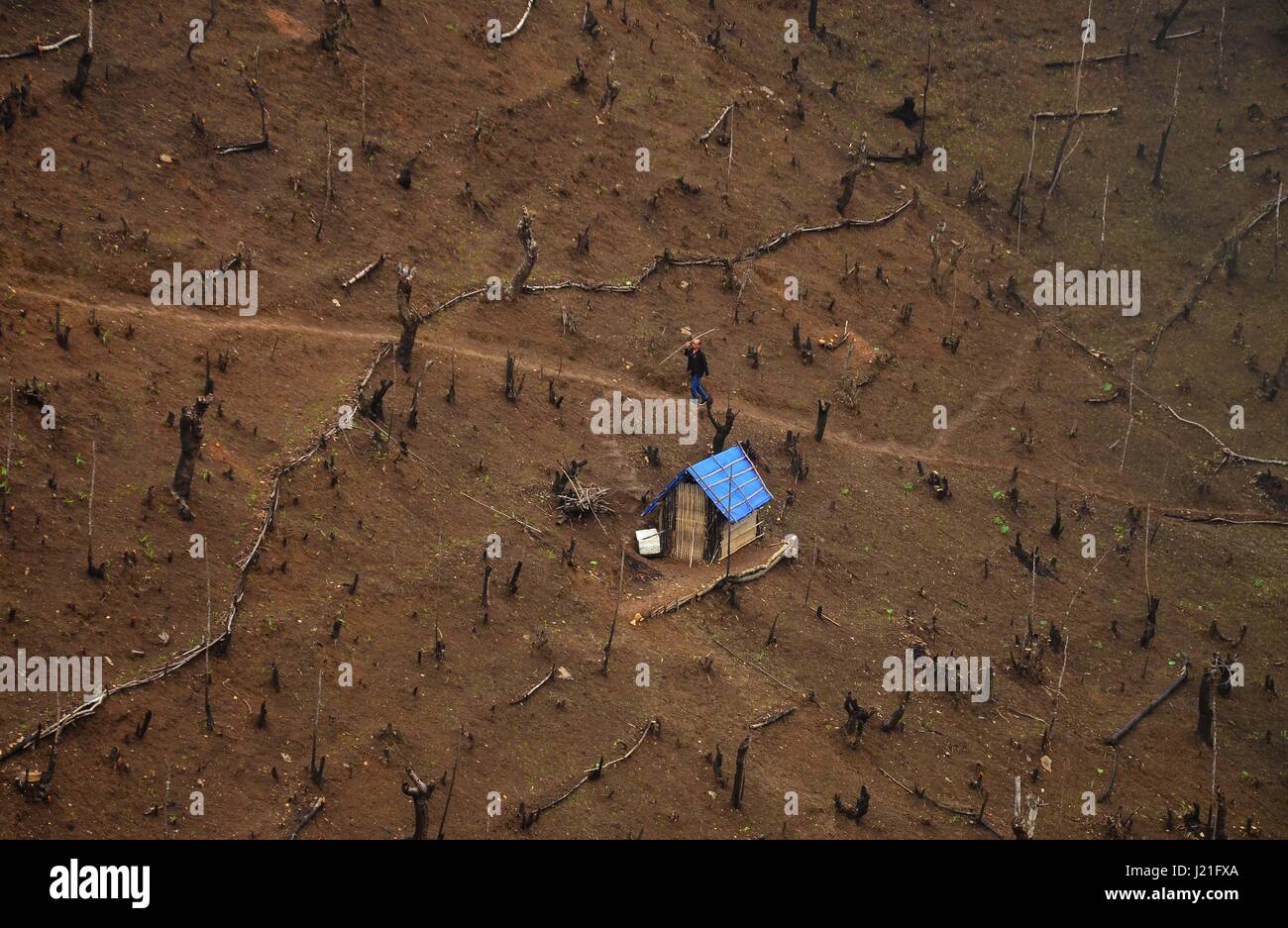Jhum cultivation hi-res stock photography and images - Alamy