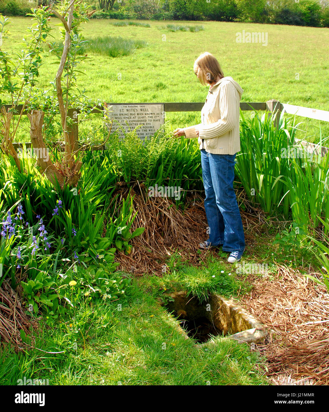 Dorset, UK. 23rd Apr, 2017. St. Wite's Well, near the village of ...
