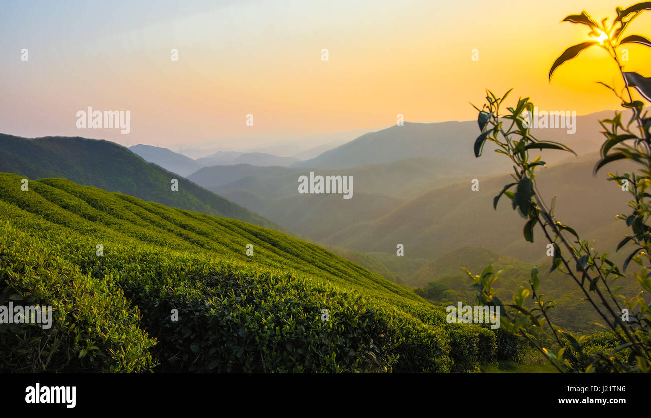 Ningbo, Ningbo, China. 23rd Apr, 2017. Ningbo, CHINA-April 23 2017 ...