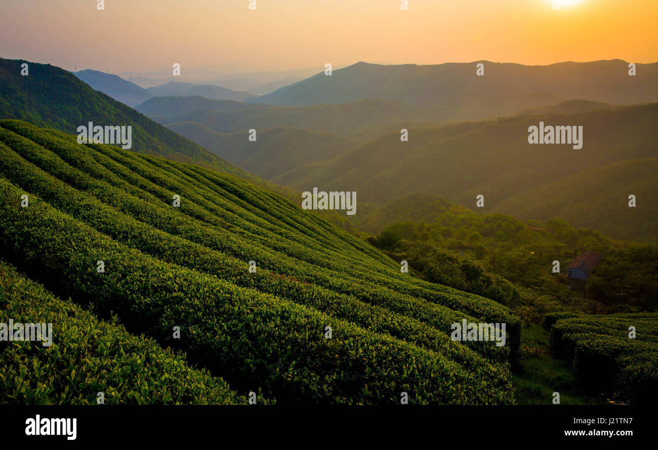 Ningbo, Ningbo, China. 23rd Apr, 2017. Ningbo, CHINA-April 23 2017 ...