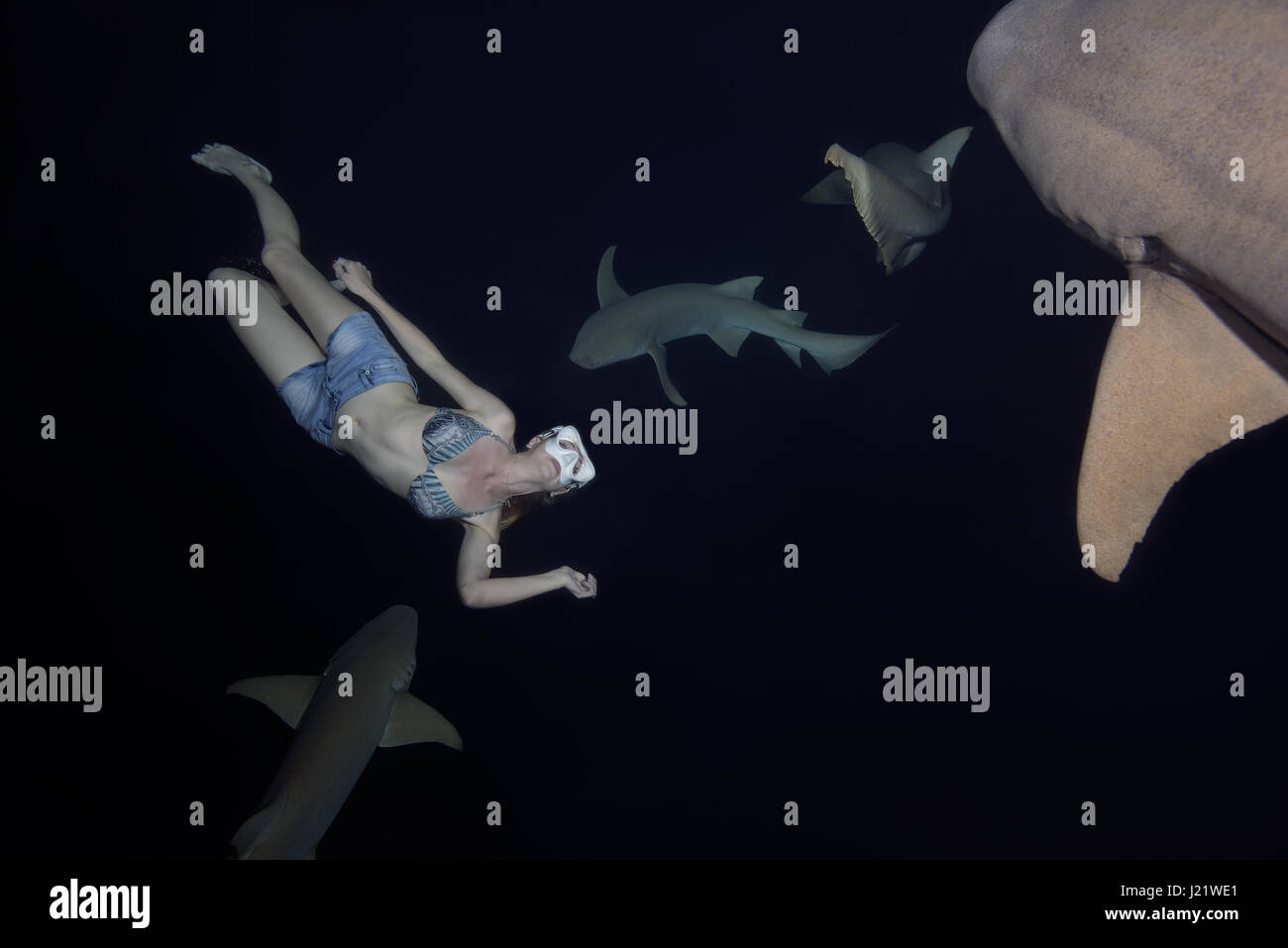 Indian Ocean, Maldives. 22nd Mar, 2017. Young beautiful woman dives at ...