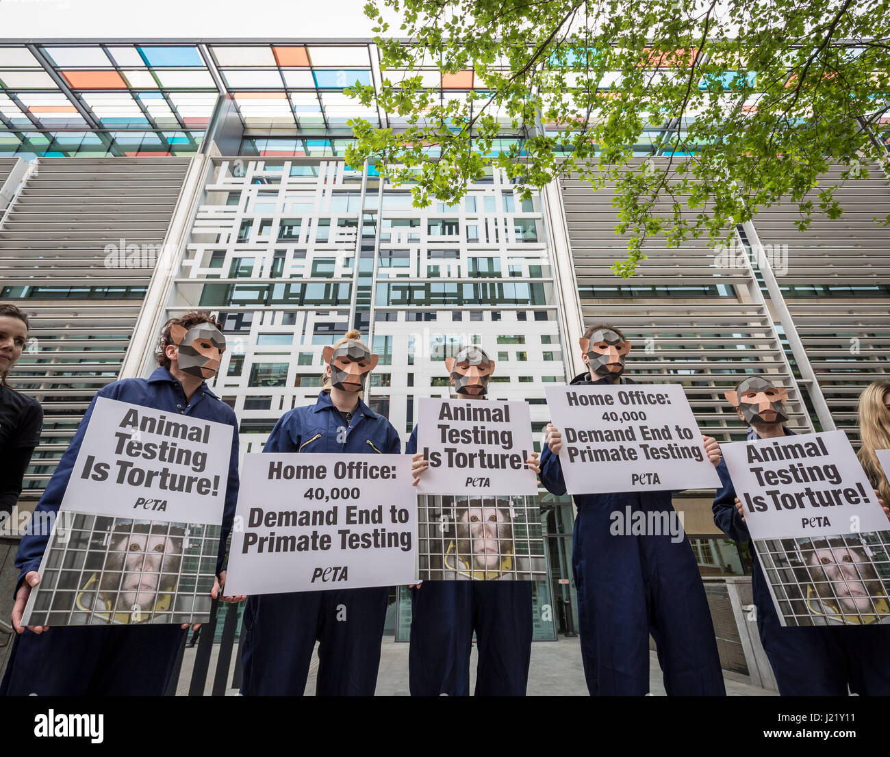 Peta animal testing hi-res stock photography and images - Alamy